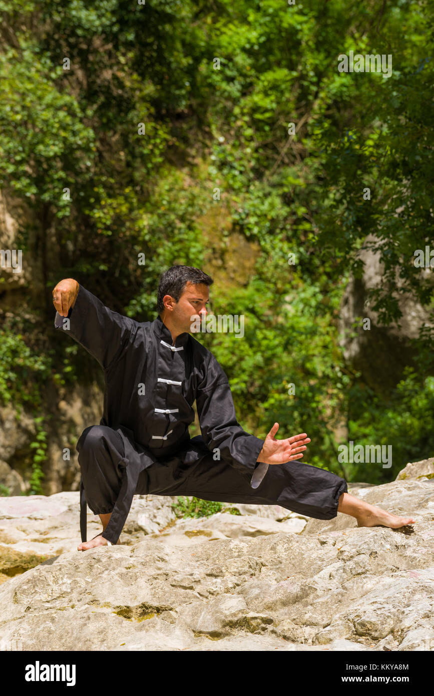 Adult man practicing Tai Chi outdoors Stock Photo - Alamy