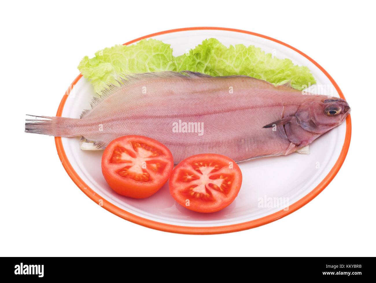 Fat Witch High Resolution Stock Photography and Images - Alamy