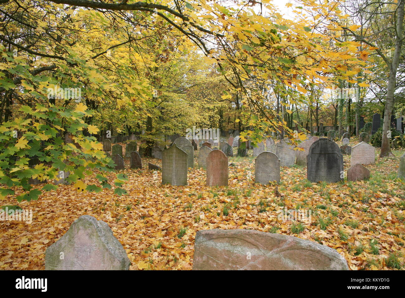 old jewish cemetery Stock Photo - Alamy