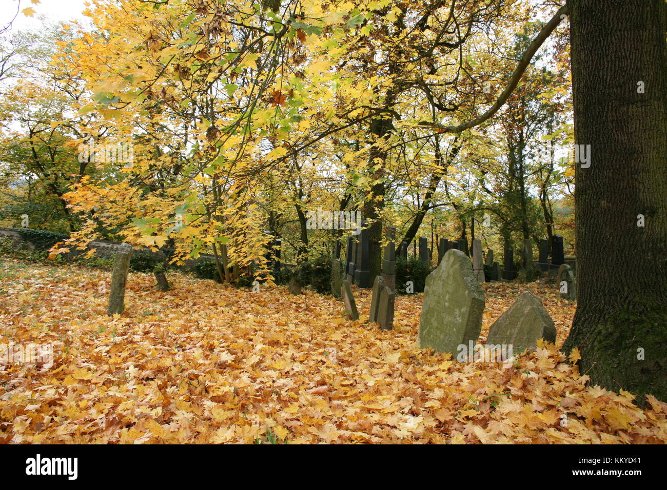 old jewish cemetery Stock Photo - Alamy