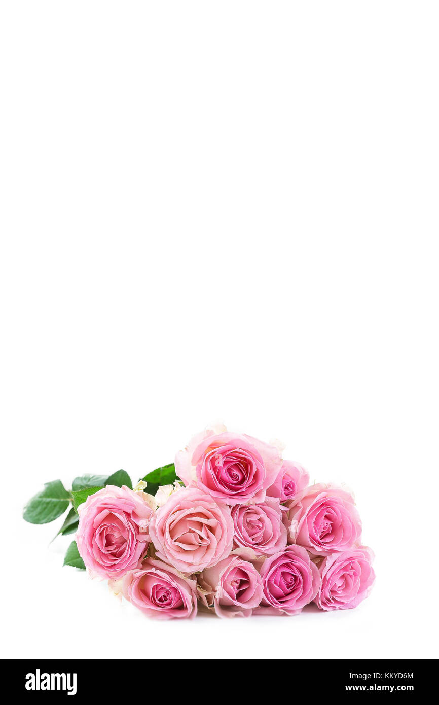 Pink rose flowers arrangement isolated on white ,vertical view, copy ...