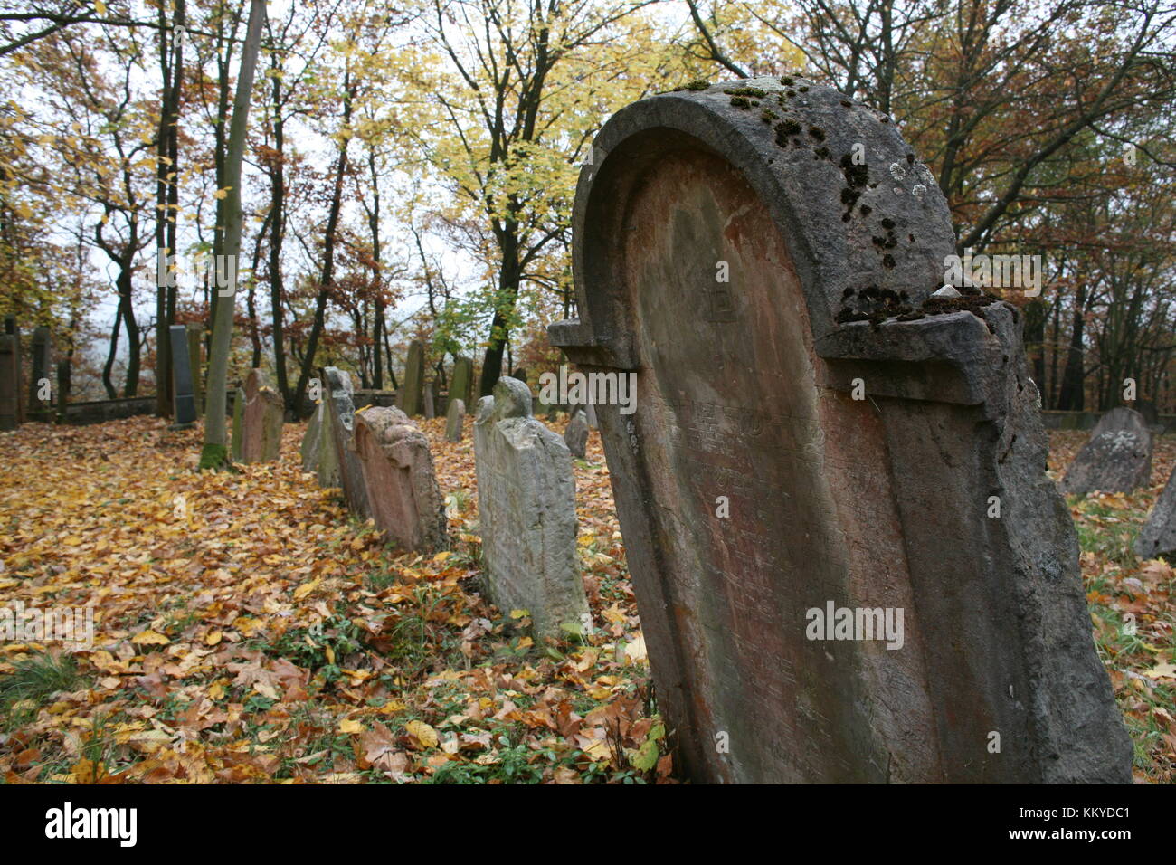 old jewish cemetery Stock Photo - Alamy