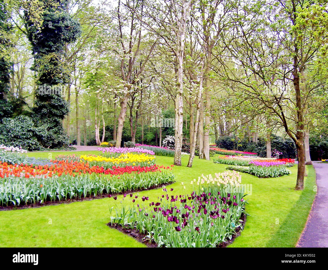 Spring Flowers in a park Stock Photo - Alamy