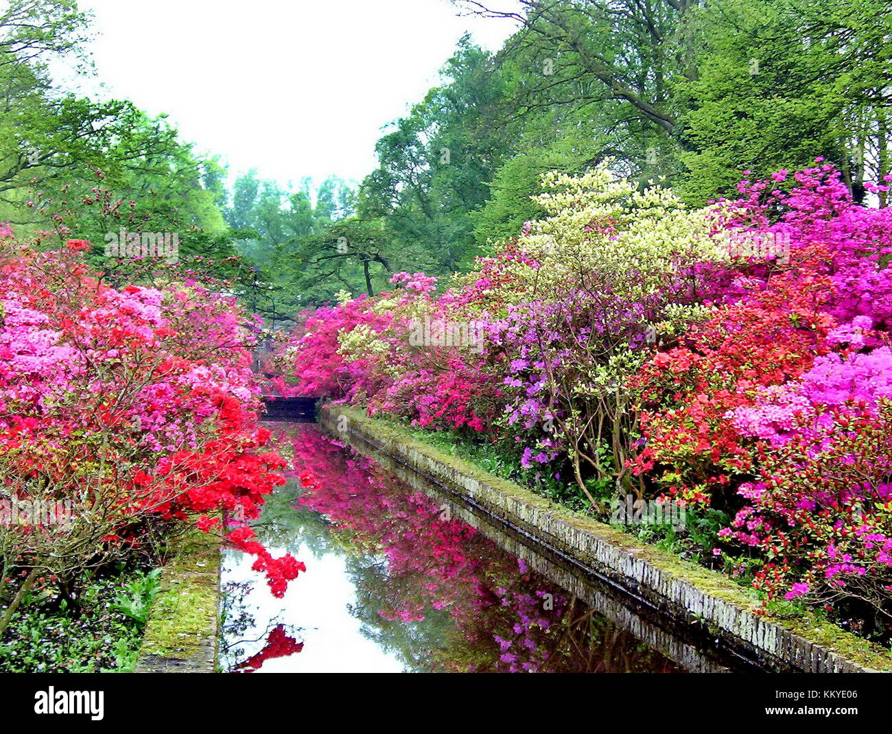 Spring Flowers in a park Stock Photo - Alamy