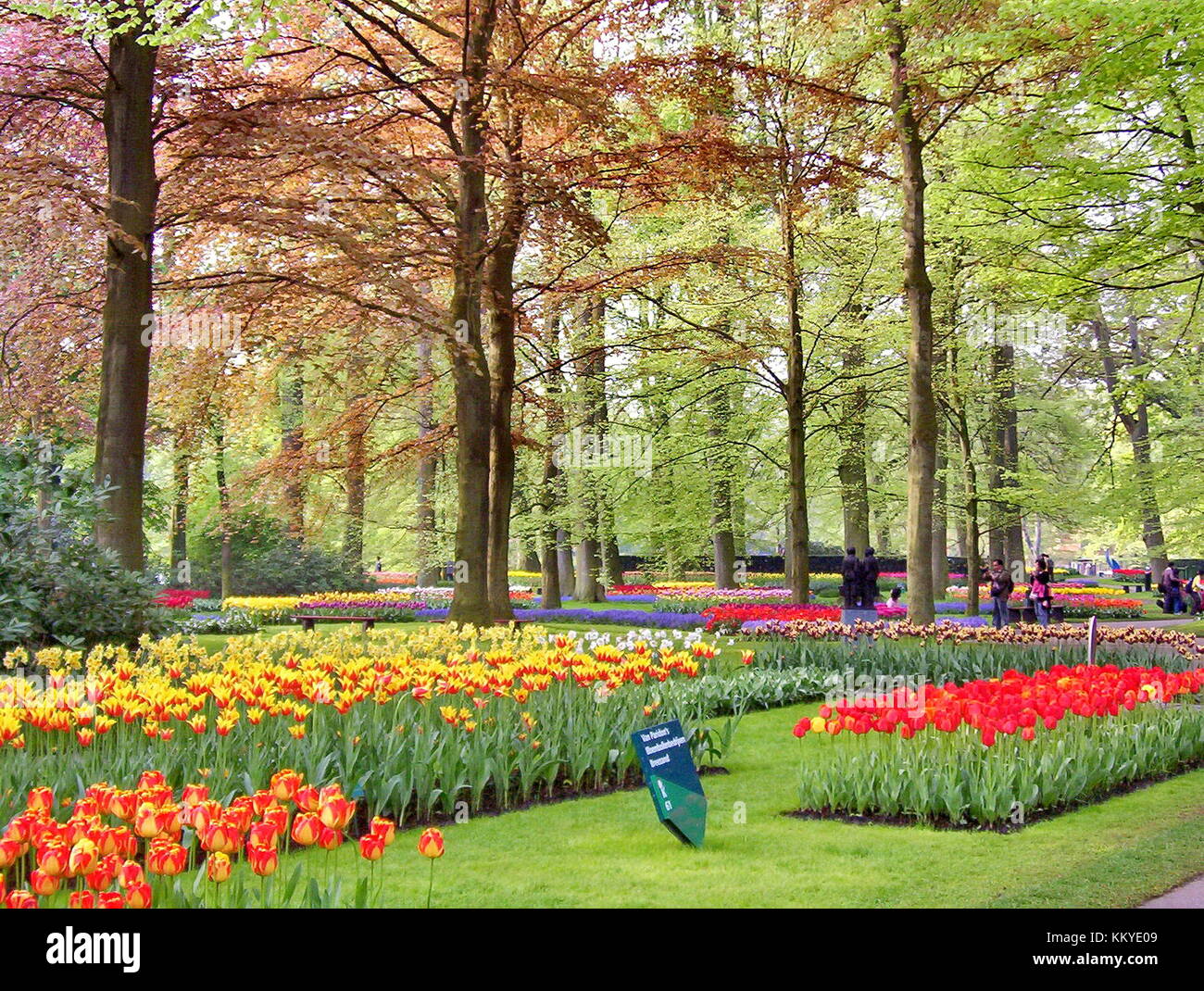 Spring Flowers in a park Stock Photo - Alamy