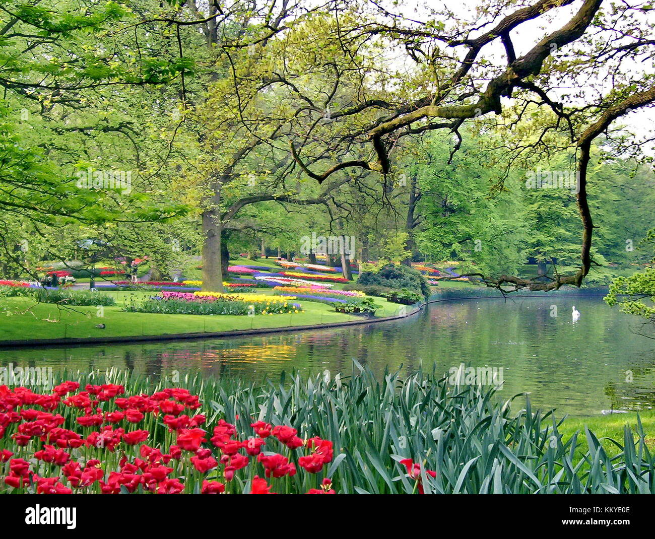 Spring Flowers in a park Stock Photo - Alamy
