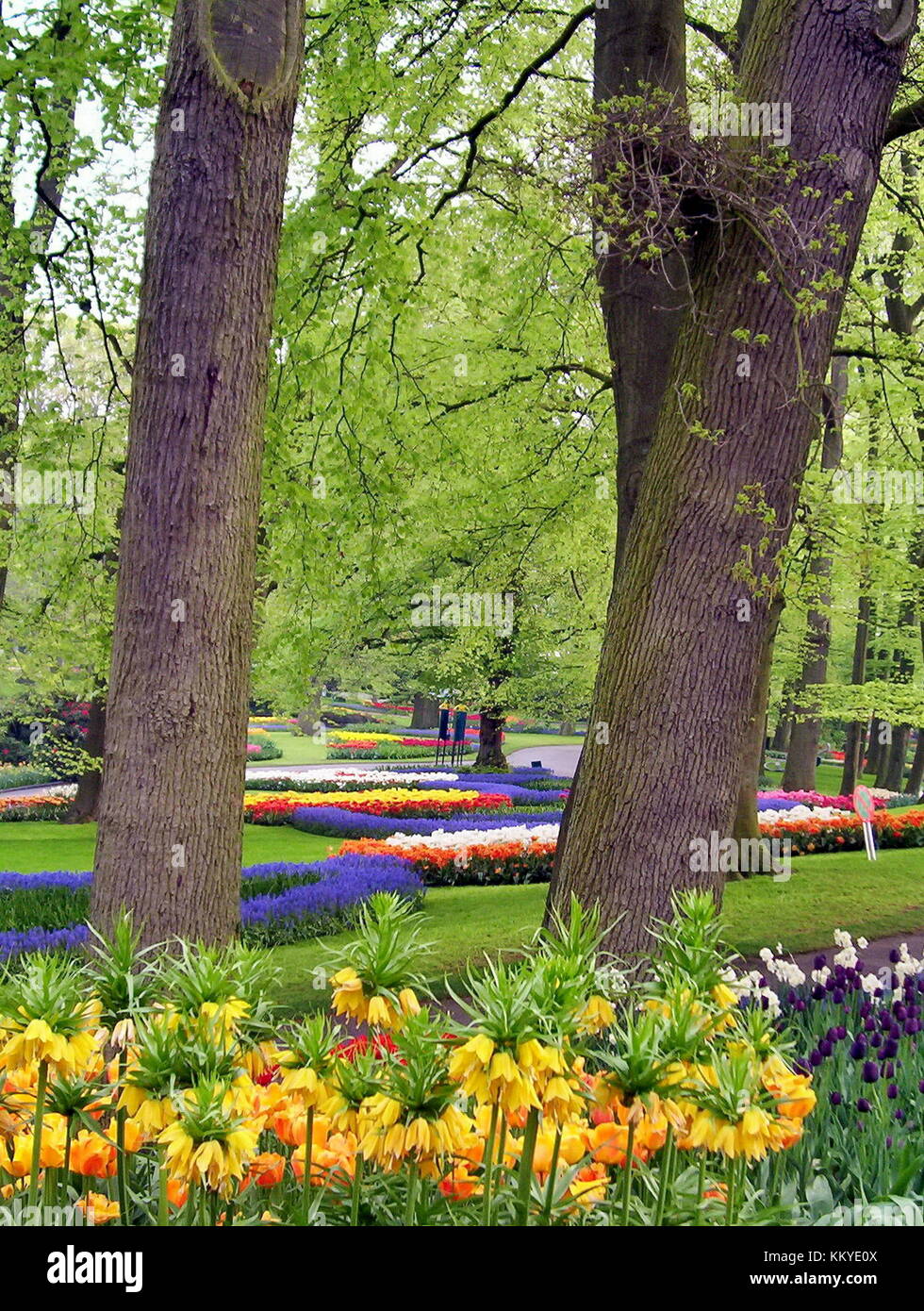 Spring Flowers in a park Stock Photo - Alamy