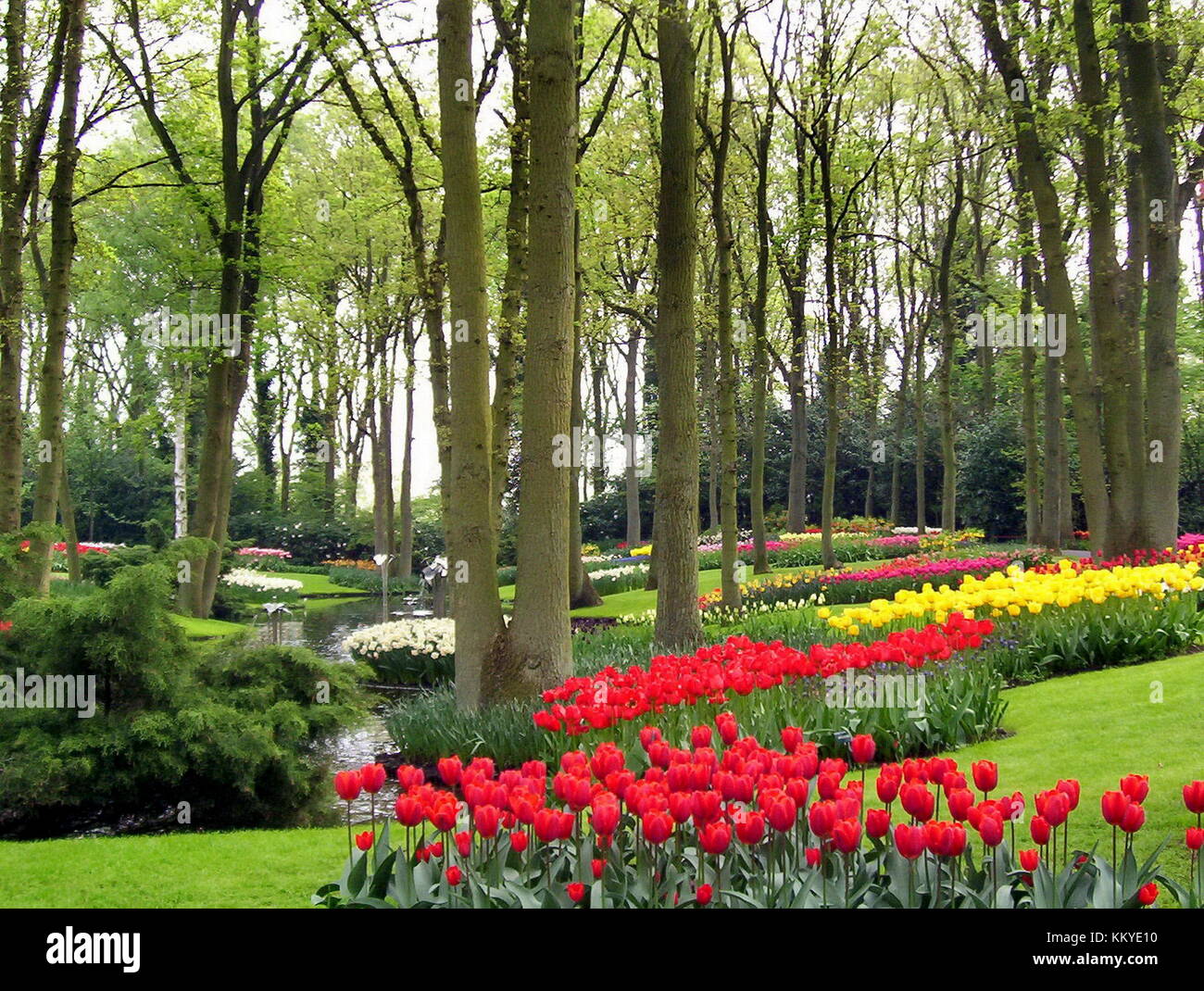Spring Flowers in a park Stock Photo - Alamy