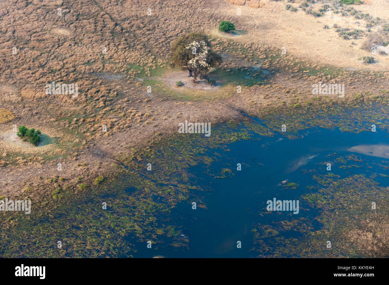 Aerial view of Okavango delta, Botswana Stock Photo - Alamy