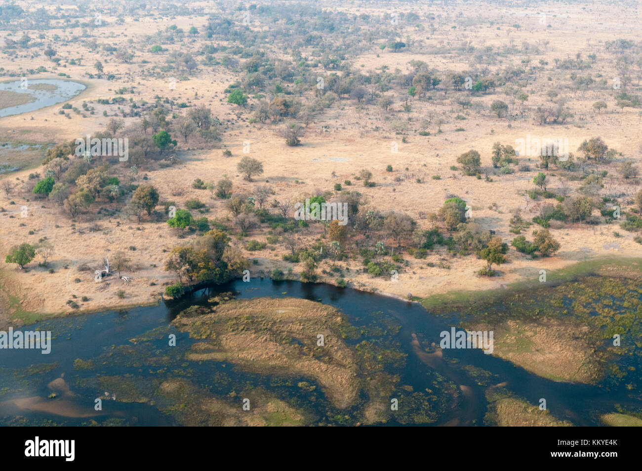 Aerial view of Okavango delta, Botswana Stock Photo - Alamy