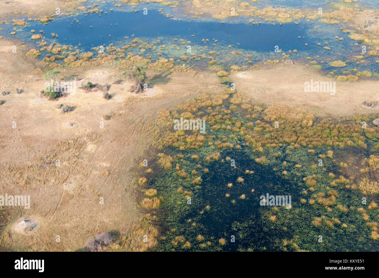 Aerial view of Okavango delta, Botswana Stock Photo - Alamy