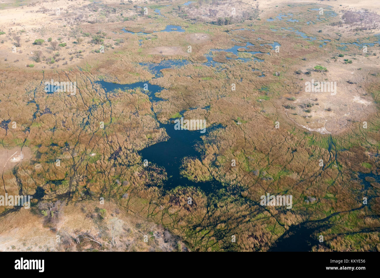 Aerial view of Okavango delta, Botswana Stock Photo - Alamy
