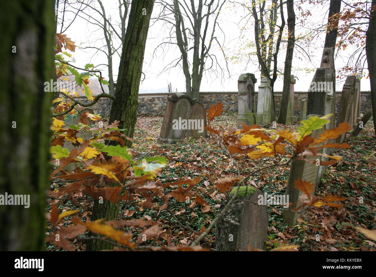 old jewish cemetery Stock Photo - Alamy
