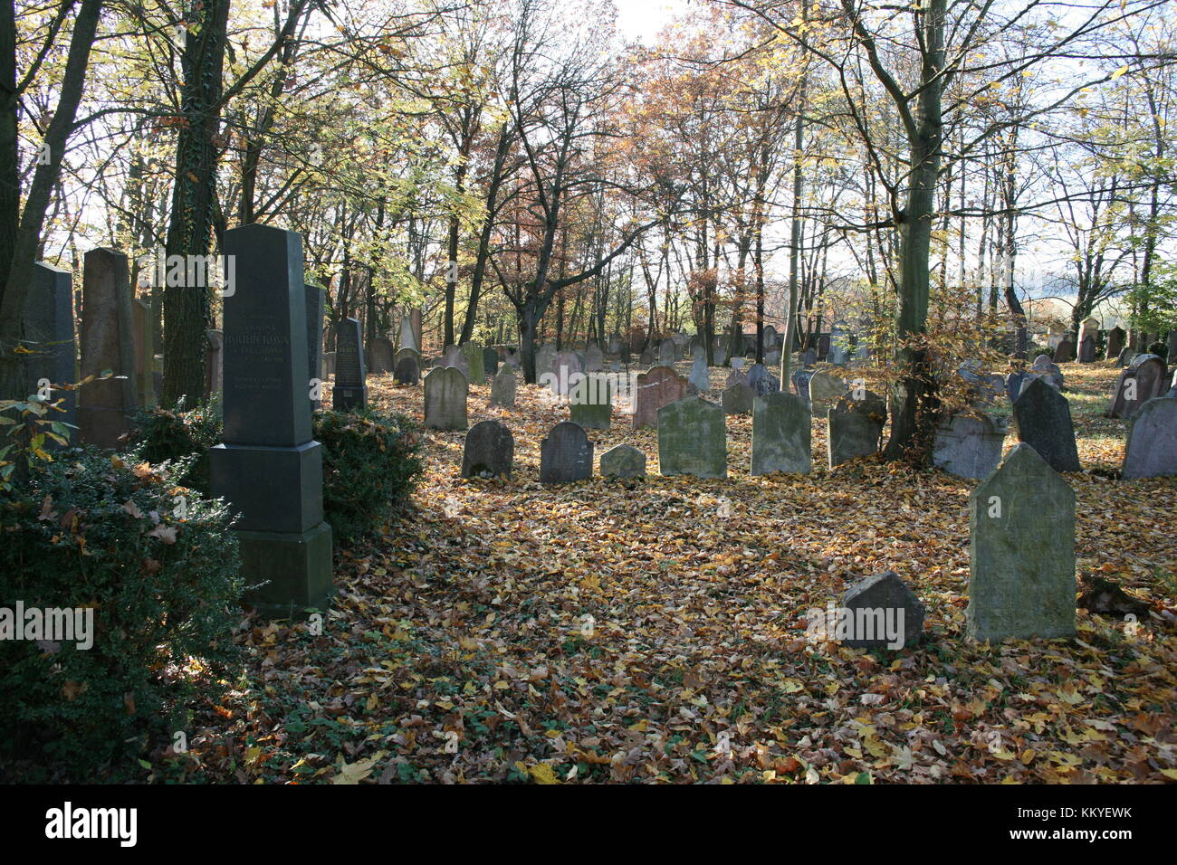 old jewish cemetery Stock Photo - Alamy