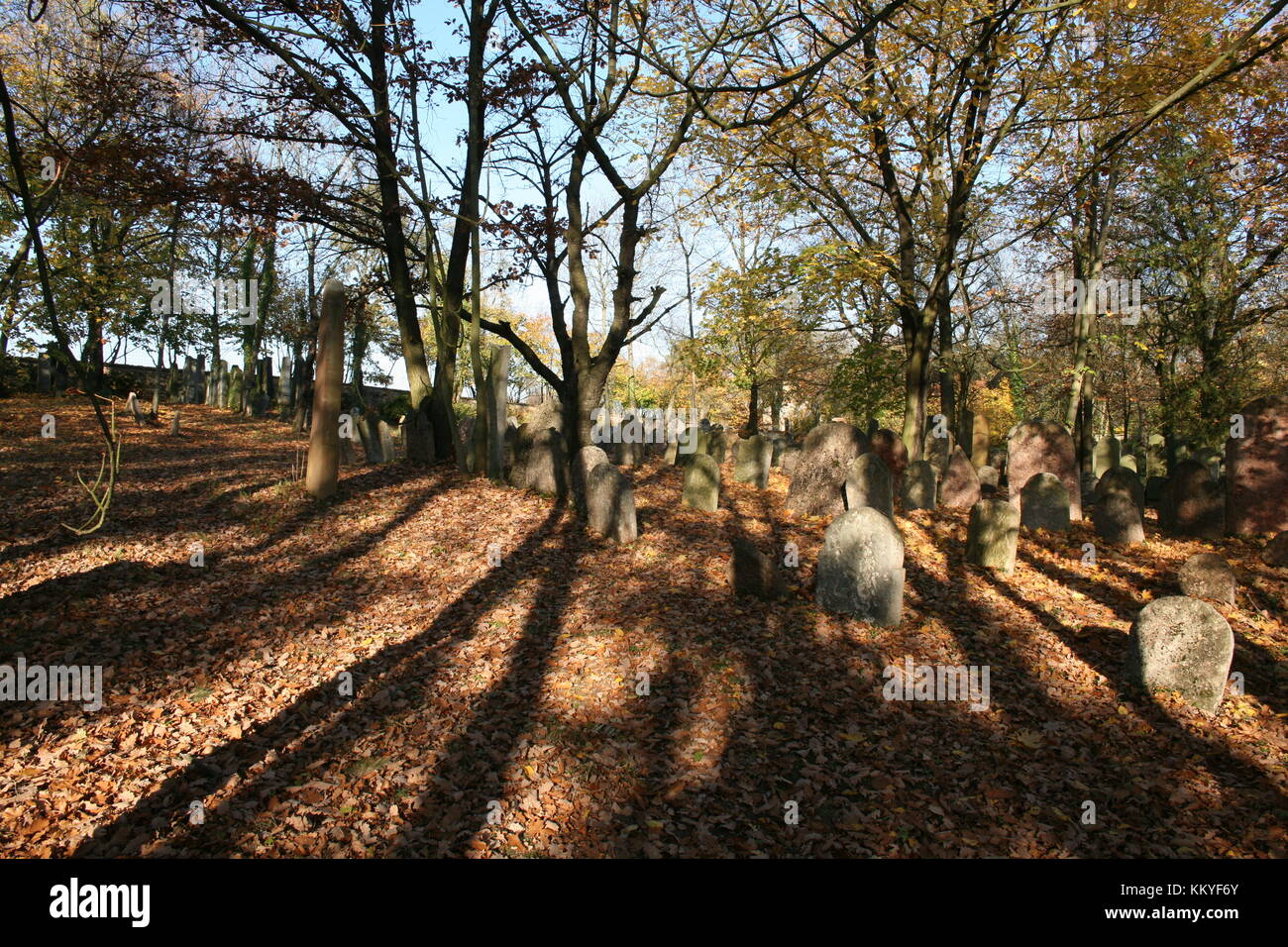old jewish cemetery Stock Photo - Alamy