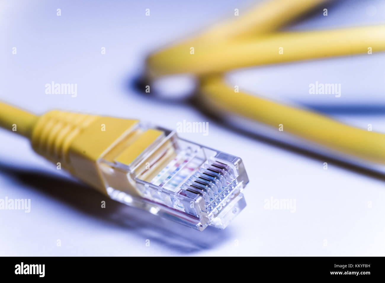Network cable connector closeup Stock Photo - Alamy