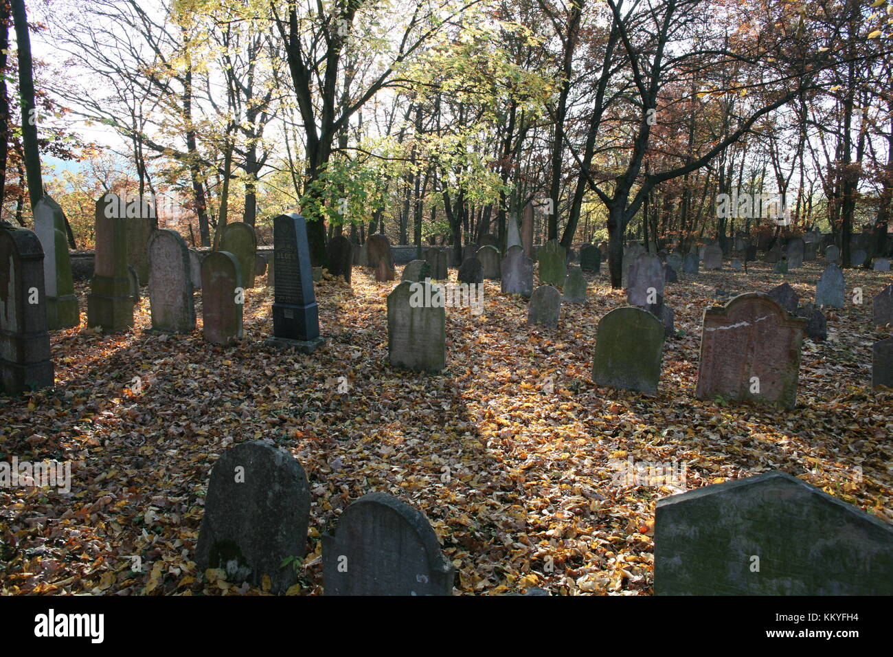 old jewish cemetery Stock Photo - Alamy