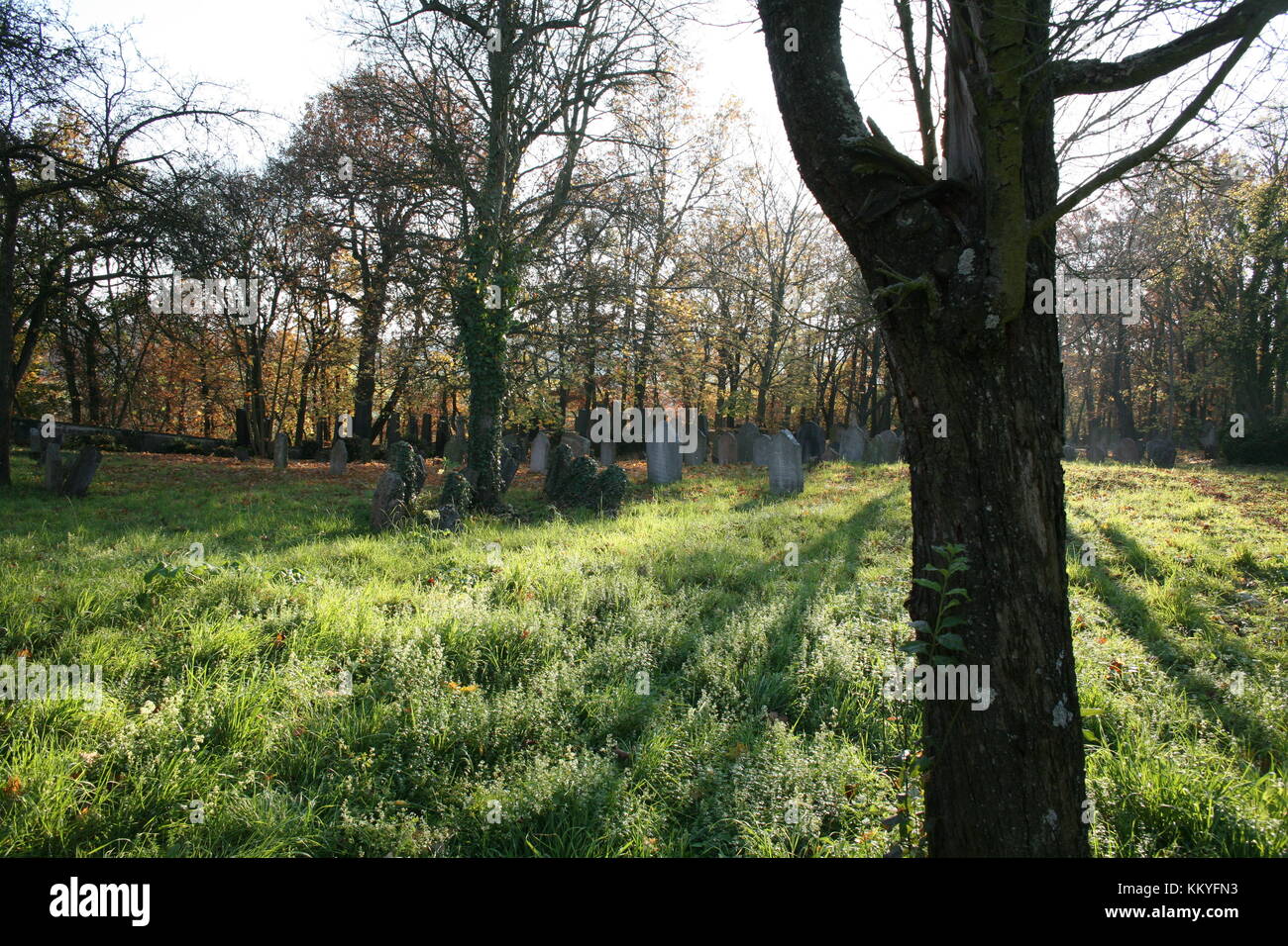 old jewish cemetery Stock Photo - Alamy