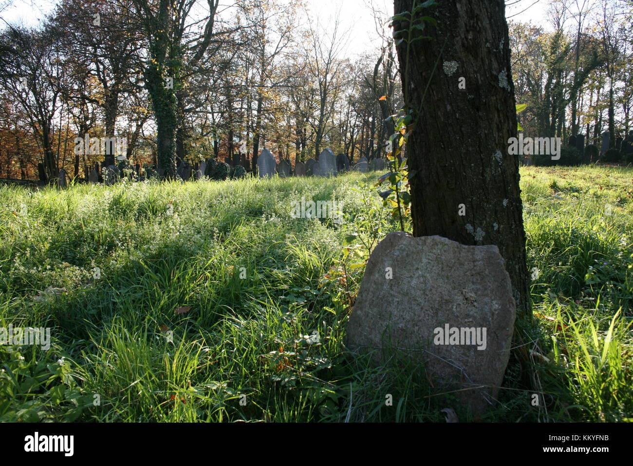 old jewish cemetery Stock Photo - Alamy