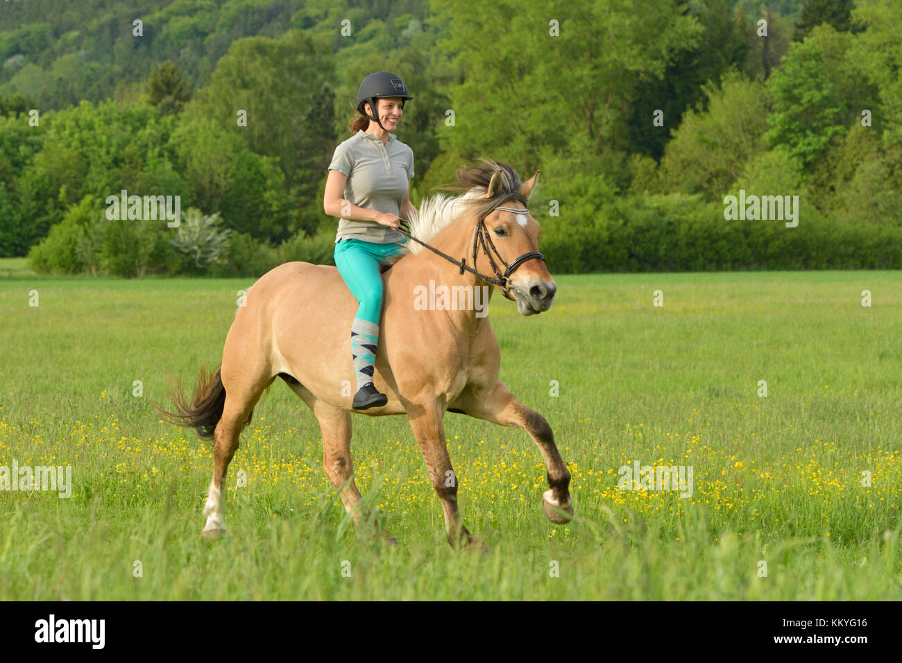 Bareback rider hi-res stock photography and images - Alamy