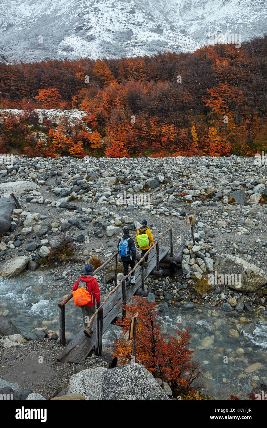 Hikers on bridge on track to Laguna de los Tres, Parque Nacional Los ...