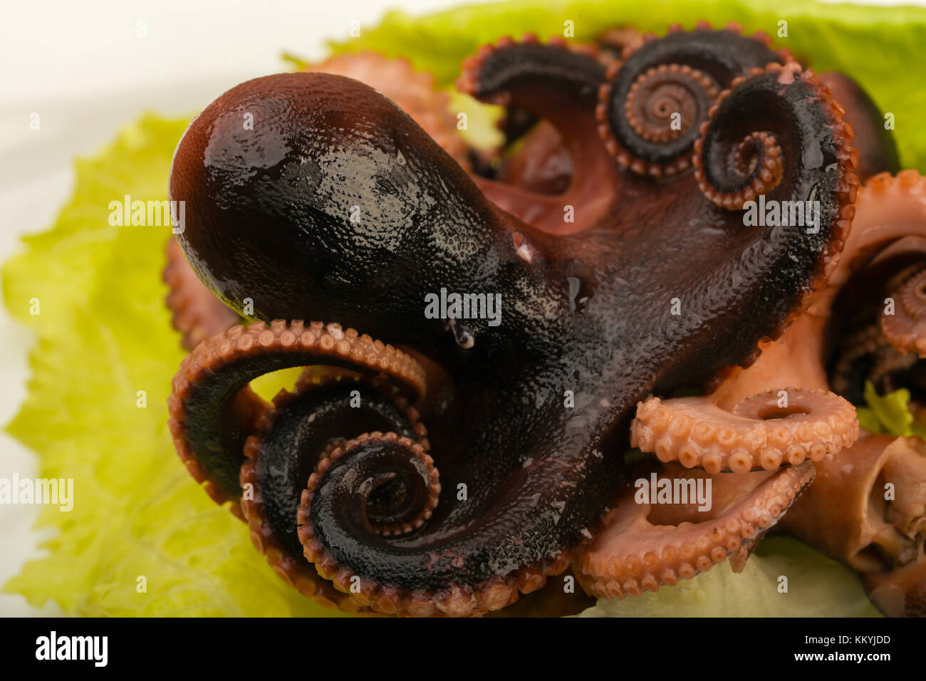 Boiled baby octopuses over salad leaves Stock Photo - Alamy