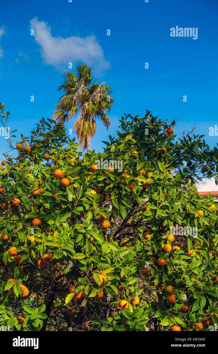 Greece kos island hi-res stock photography and images - Alamy