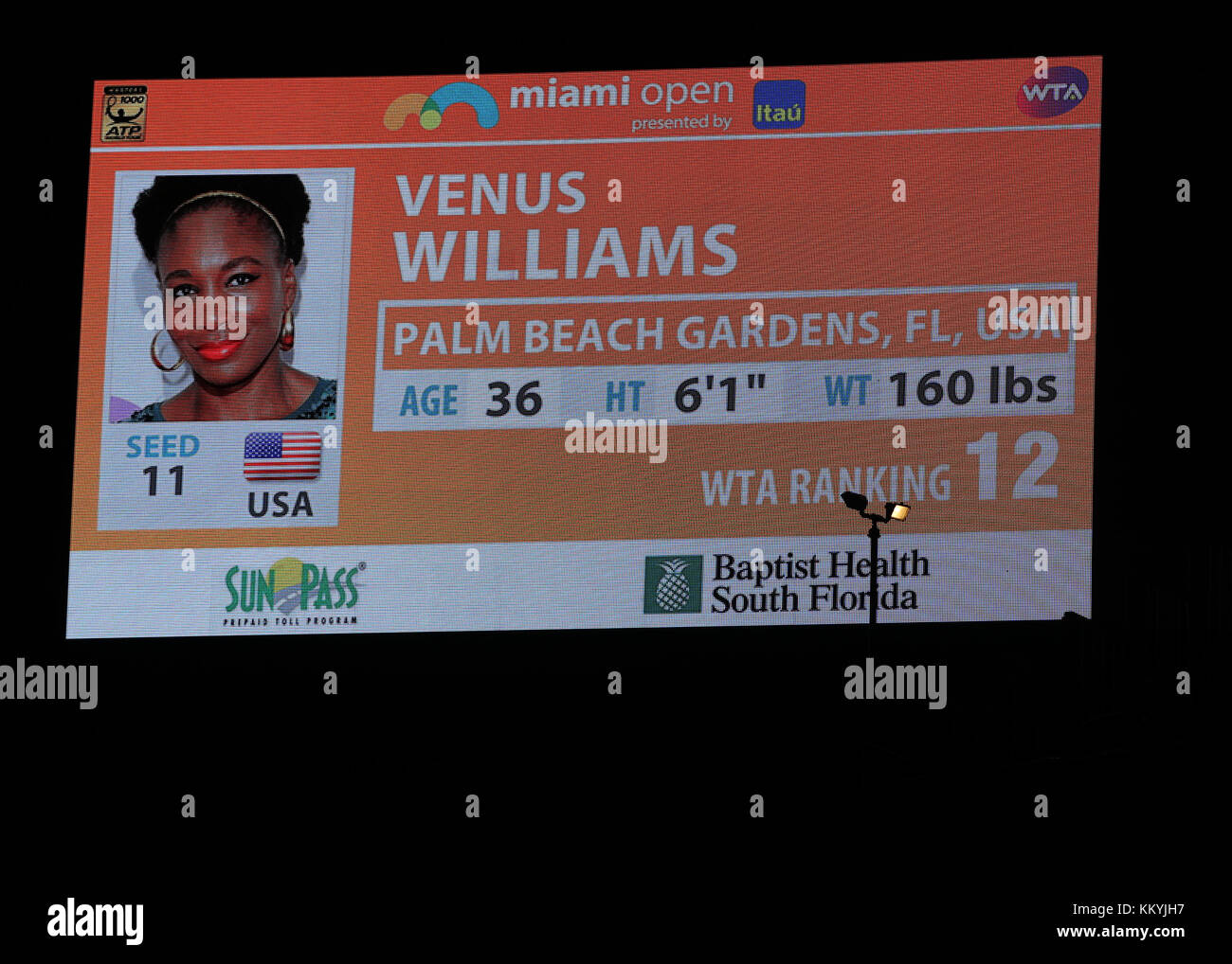 Beatriz Maia High Resolution Stock Photography and Images - Alamy