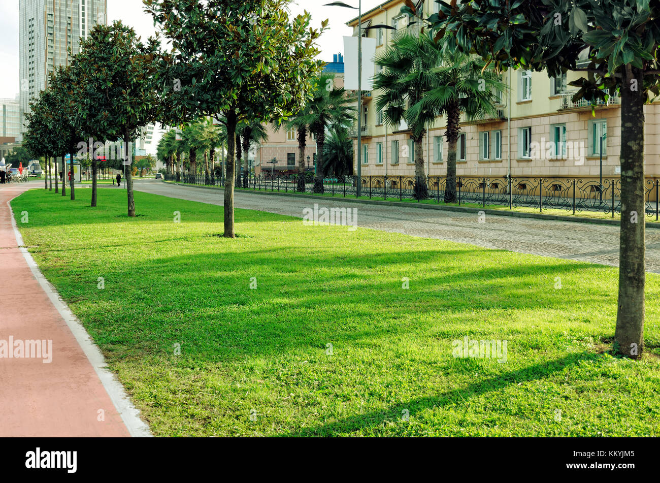 View of the beautiful green city street with lawn, palm trees, trees ...