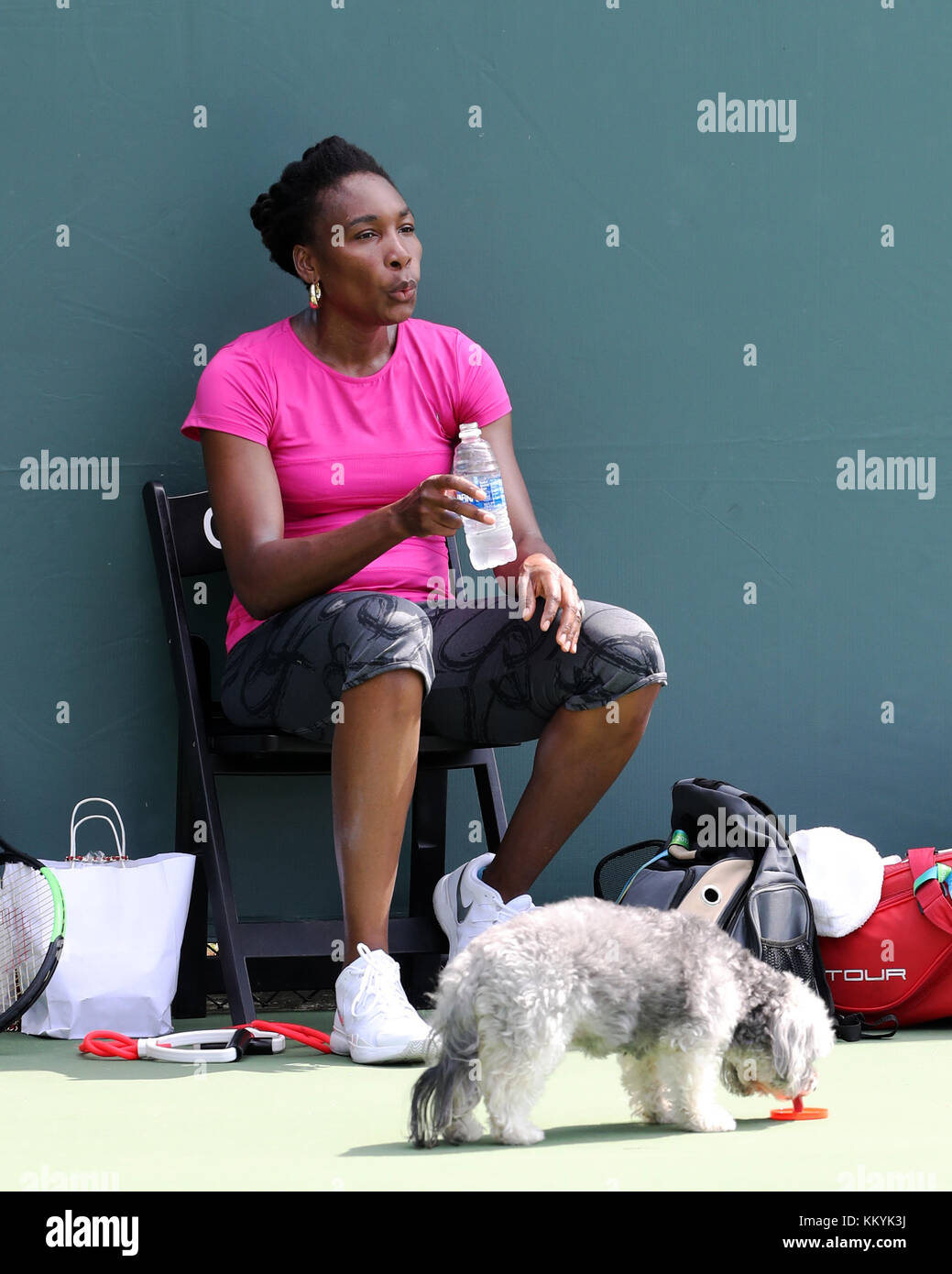 KEY BISCAYNE, FL - MARCH 23: Venus Williams of the USA celebrates ...