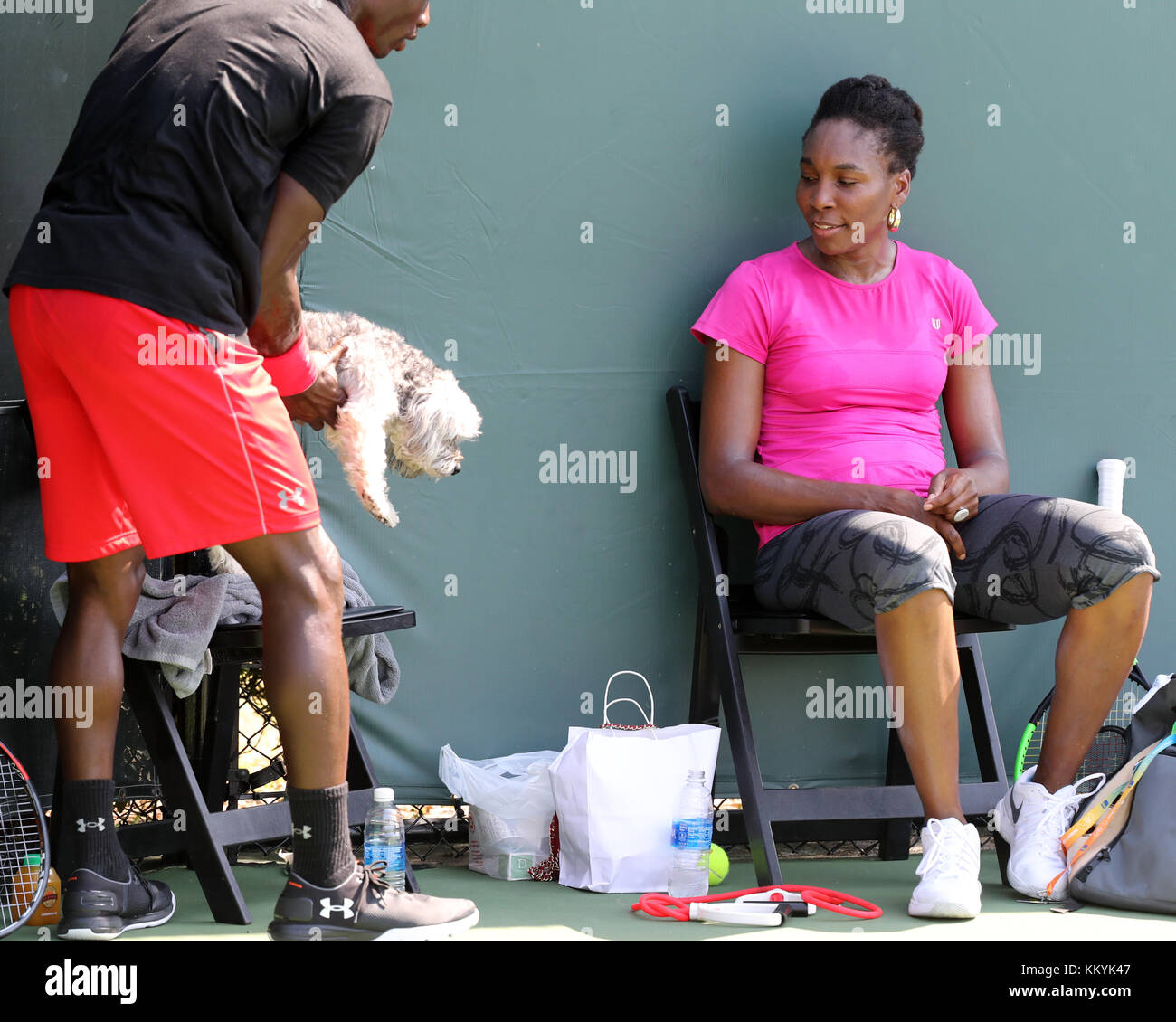 KEY BISCAYNE, FL - MARCH 23: Venus Williams of the USA celebrates ...