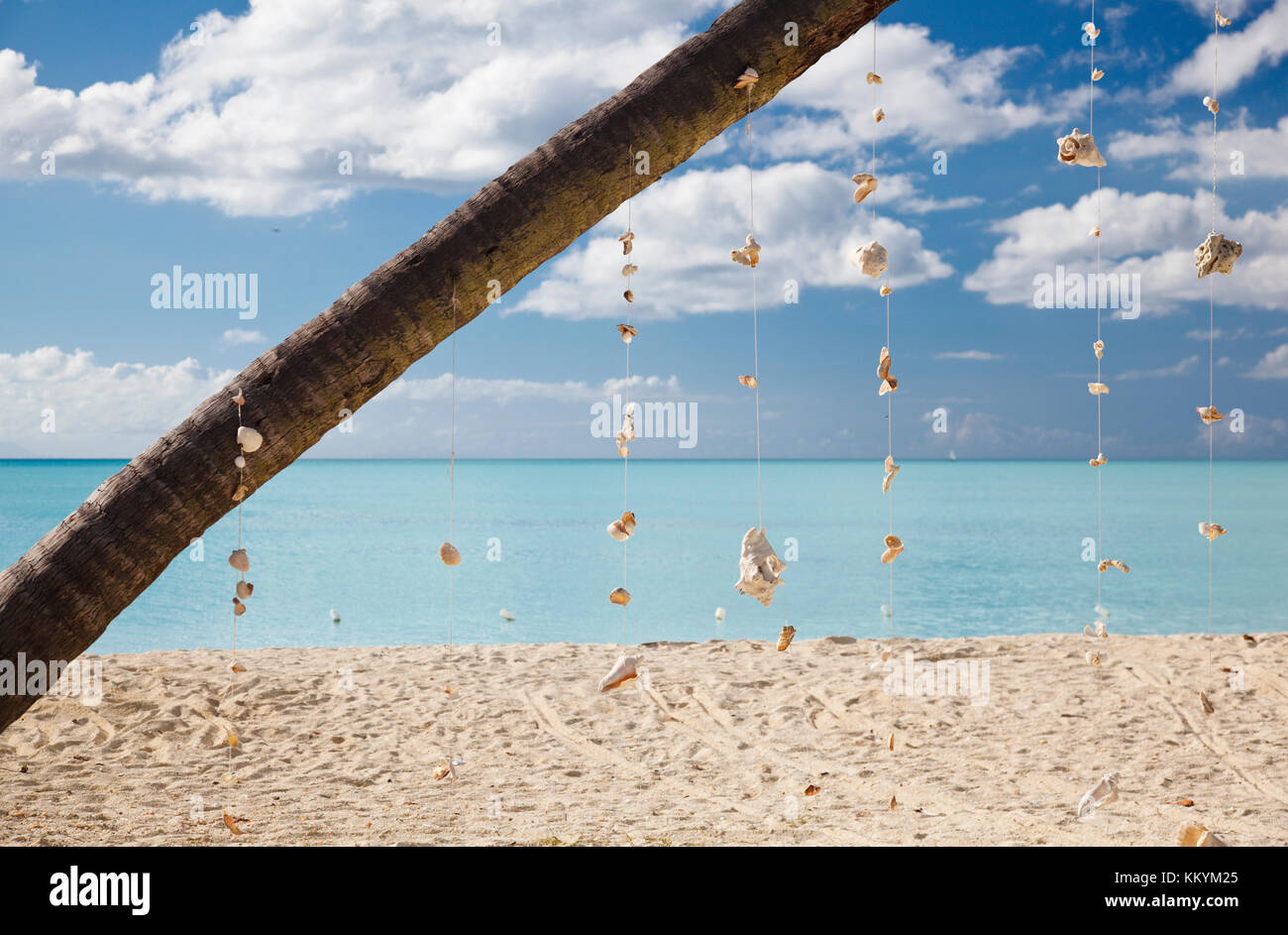 Slanted palm hi-res stock photography and images - Alamy