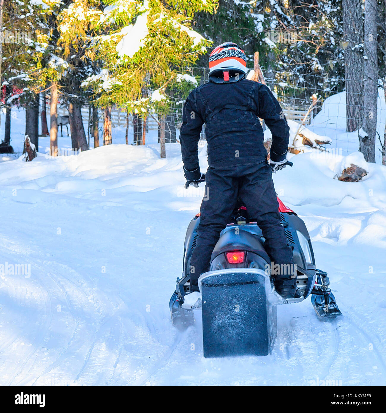 Woman on snowmobile in forest hi-res stock photography and images - Alamy