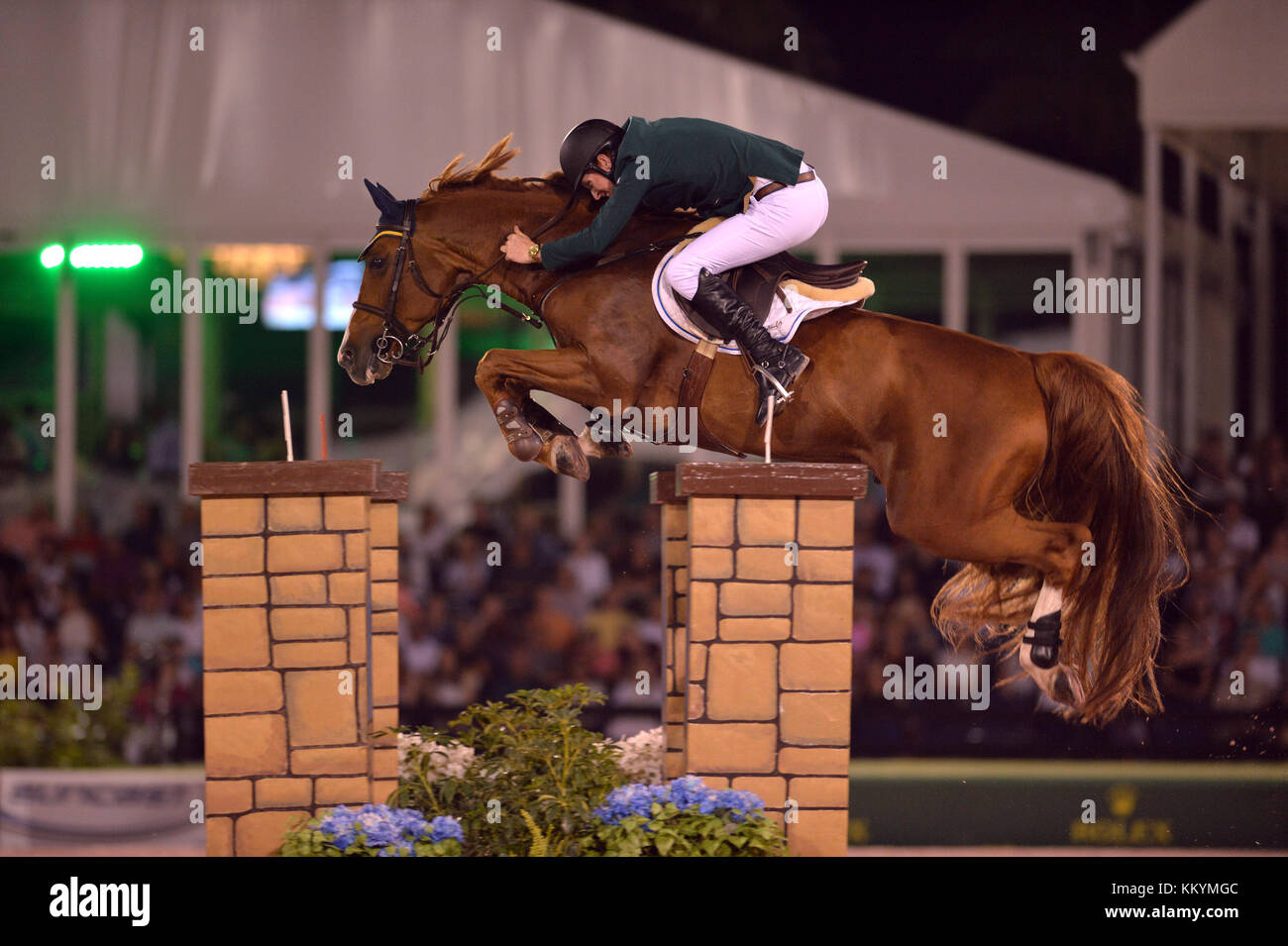 WELLINGTION, FL - FEBRUARY 25: Daniel Coyle at the SATURDAY NIGHT ...