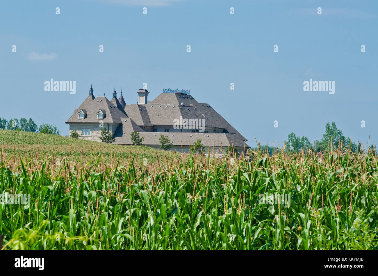 Roof of big farmer house on the green corn field Stock Photo - Alamy
