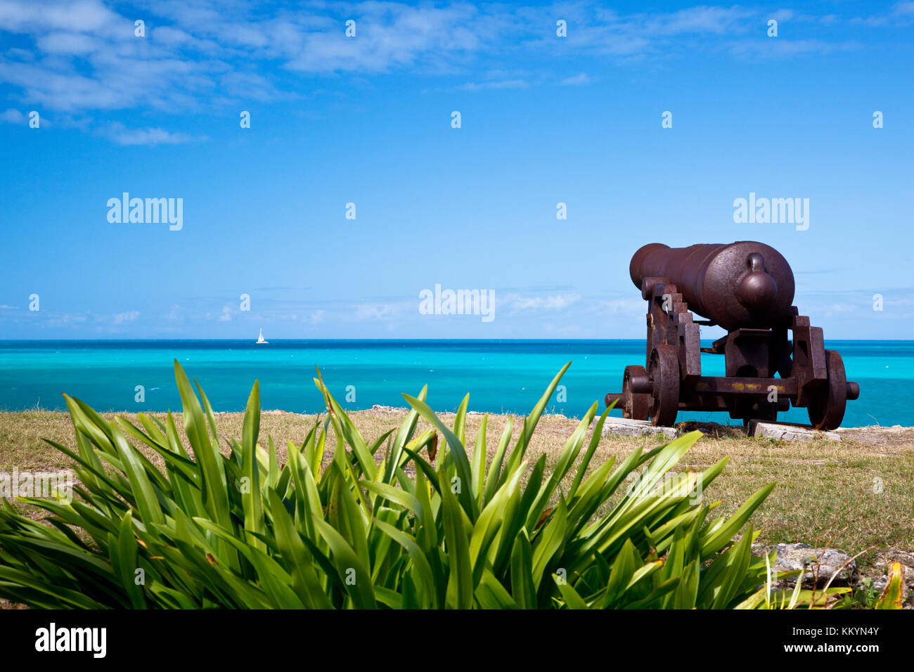 James cannon hi-res stock photography and images - Alamy