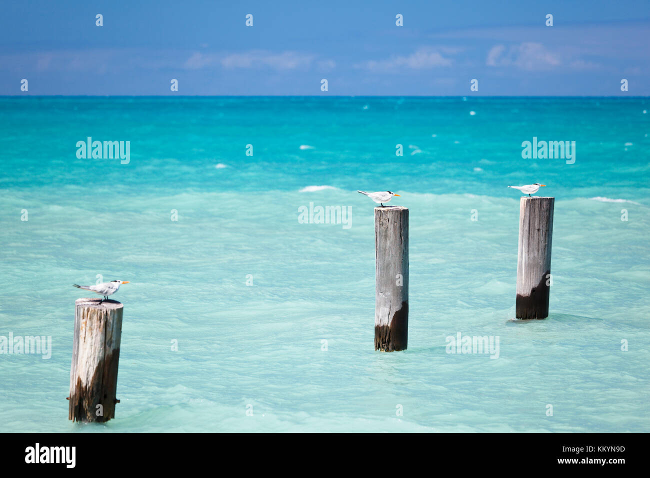 All facing the same direction hi-res stock photography and images - Alamy