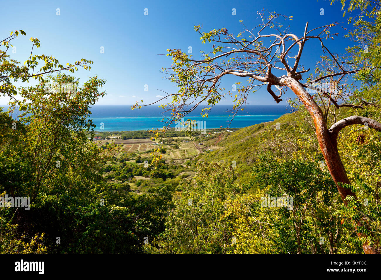 View to Cades Reef from a green hill in south Antigua Stock Photo - Alamy