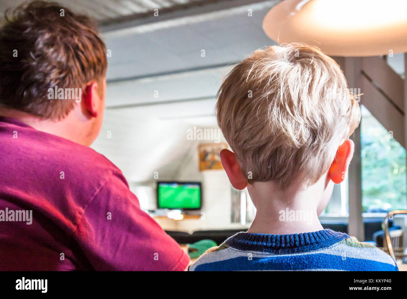 Father and son watching TV at home together, back view Stock Photo - Alamy