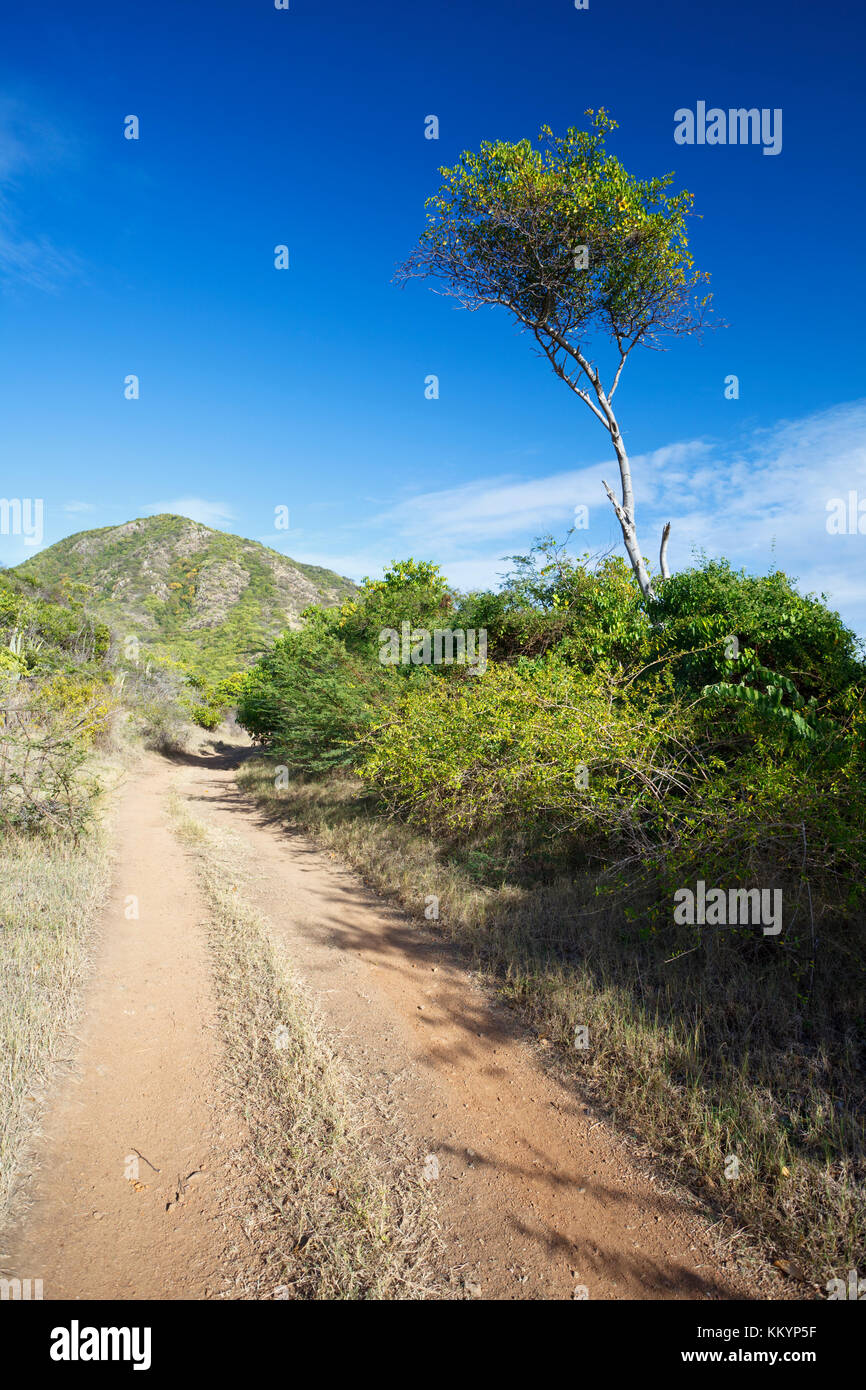 One of the typical dirt roads in Antigua that are leading to secluded ...