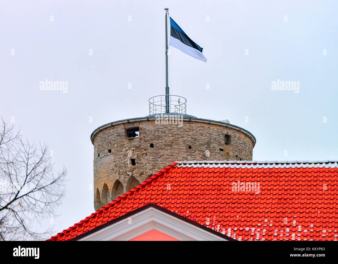 Pikk Hermann Tower of Toompea Castle with Estonian flag at the Old town ...