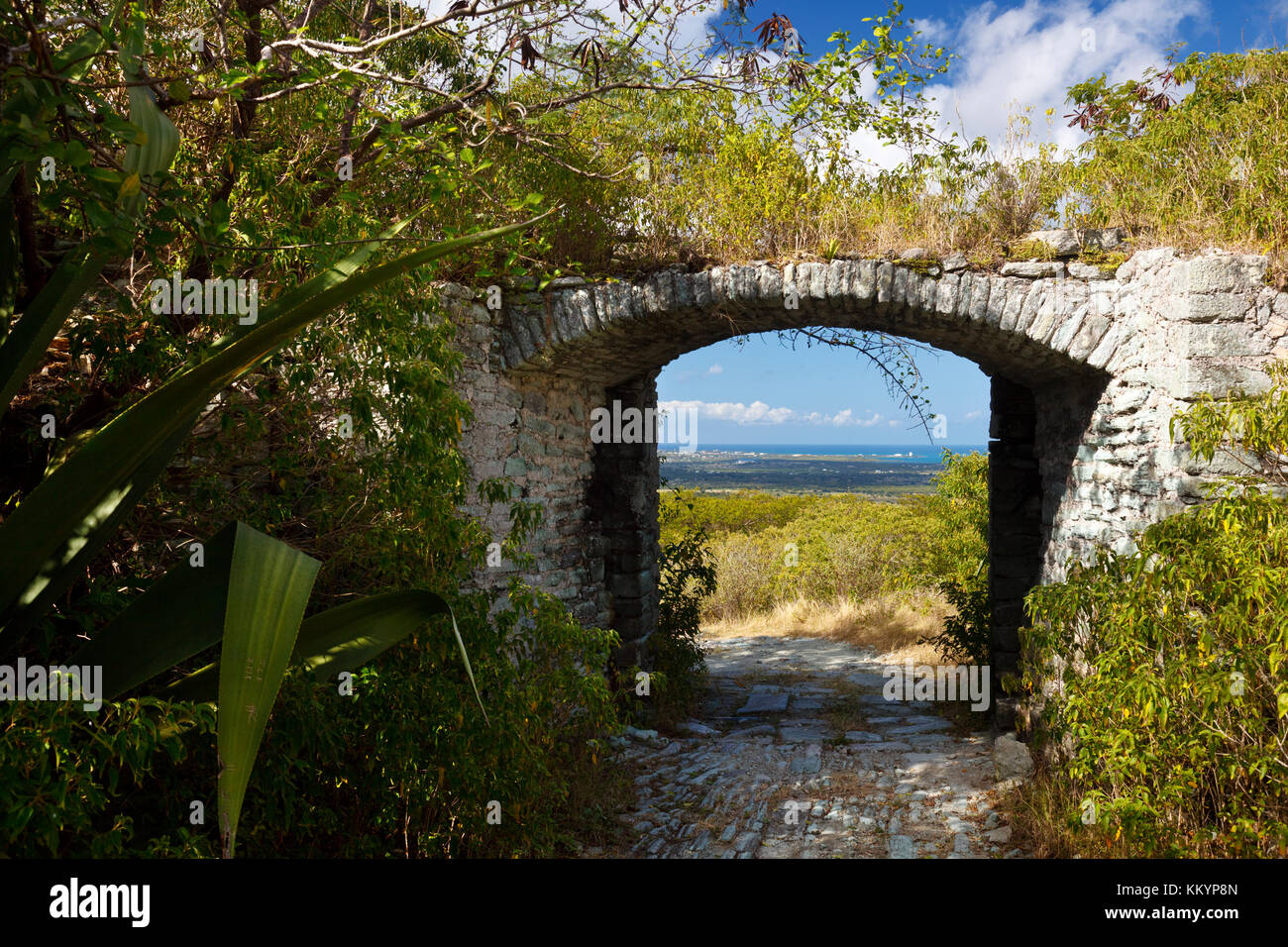 Lesser george hi-res stock photography and images - Alamy