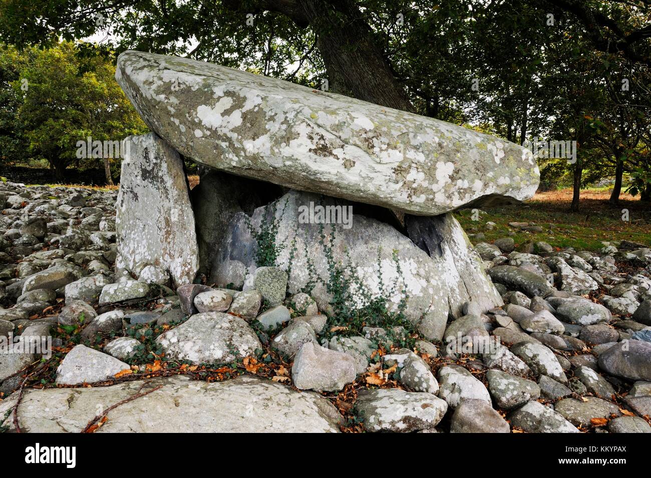 Dyffryn Ardudwy 6000 year old prehistoric megalithic dolmen tomb ...