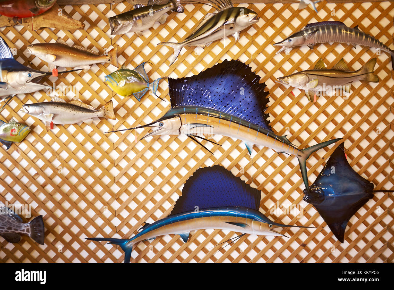 Selection of wooden fish souvenirs on display hanging on a wooden ...