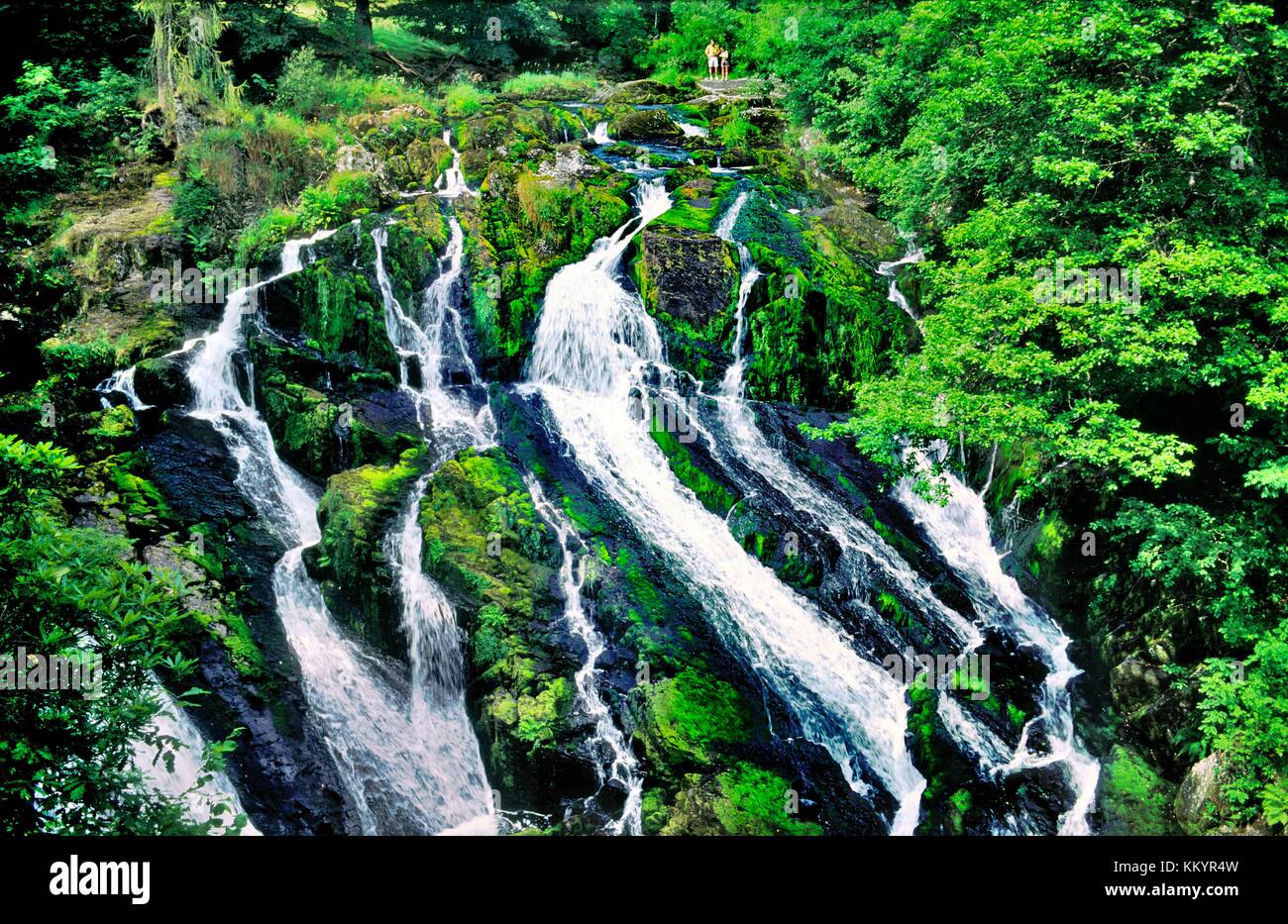 Swallow Falls, Welsh language Rhaeadr Ewynnol, on the Afon Llugwy river ...