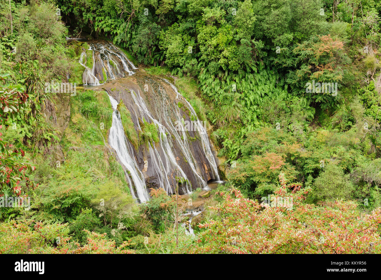 Tangoio Falls and the Kareaara stream in the Tangoio Falls Scenic ...