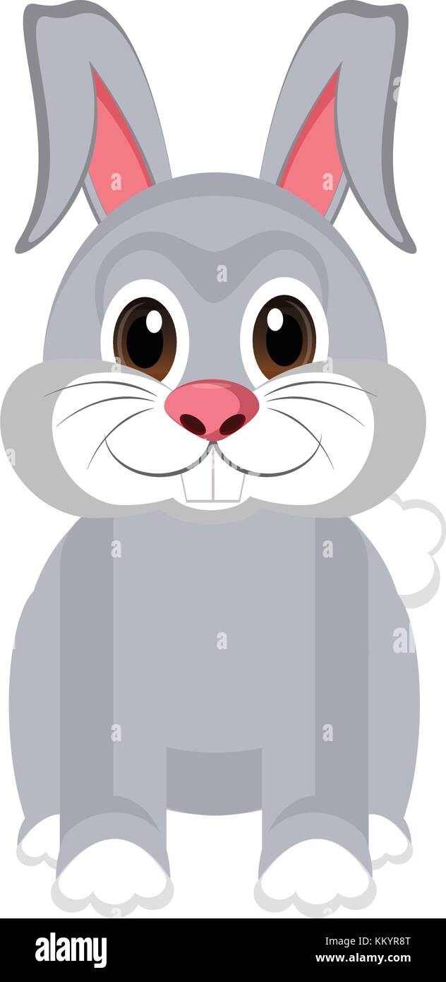 Isolated cute rabbit Stock Vector Image & Art - Alamy