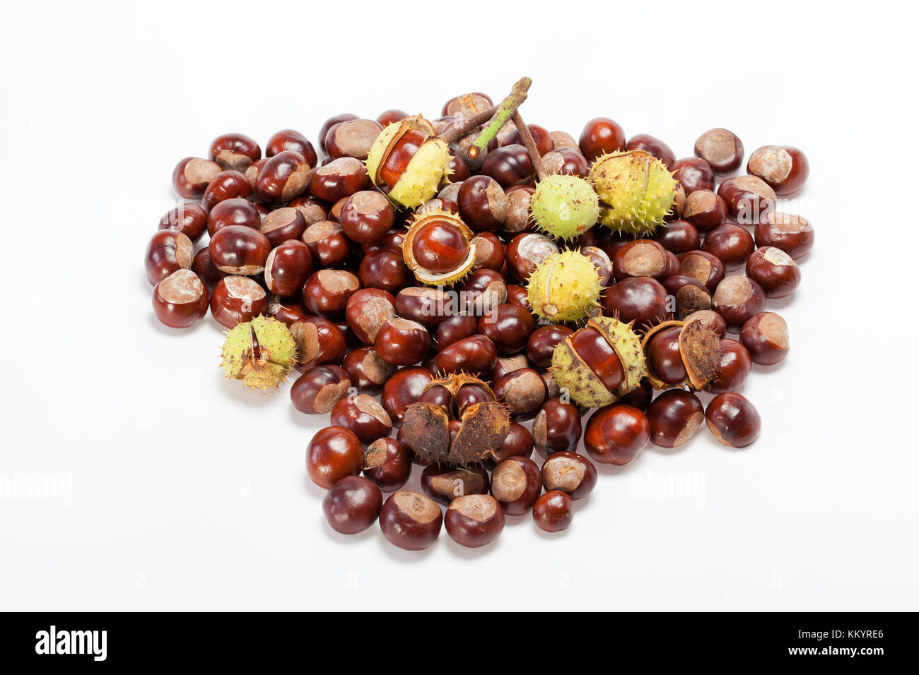 ripe chestnuts isolated on a white background Stock Photo - Alamy