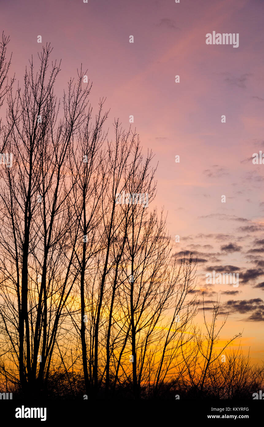 Sunlight sunset mood hi-res stock photography and images - Alamy