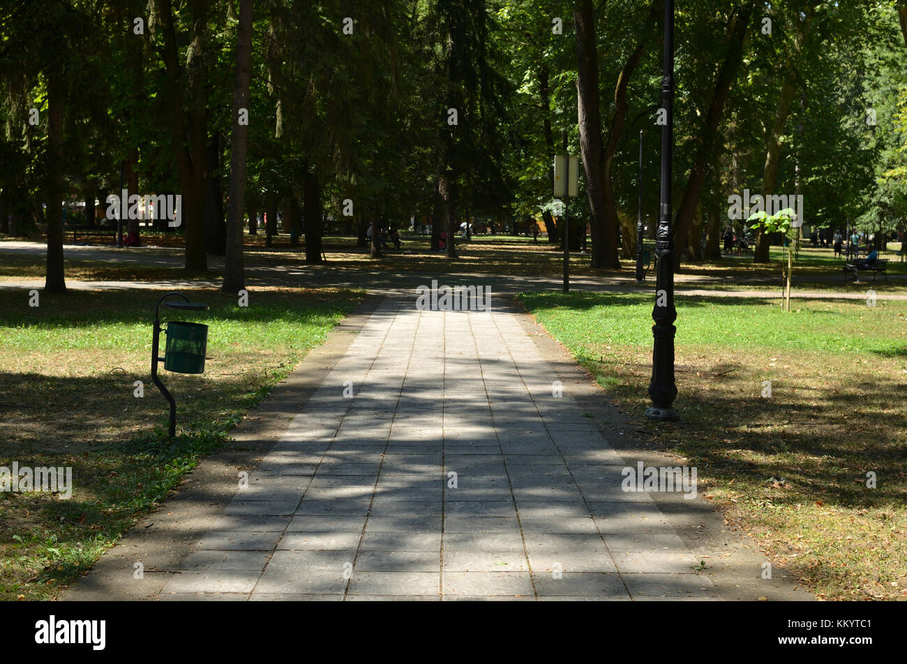 Empty path through a public park in summer showing a peace and calm ...